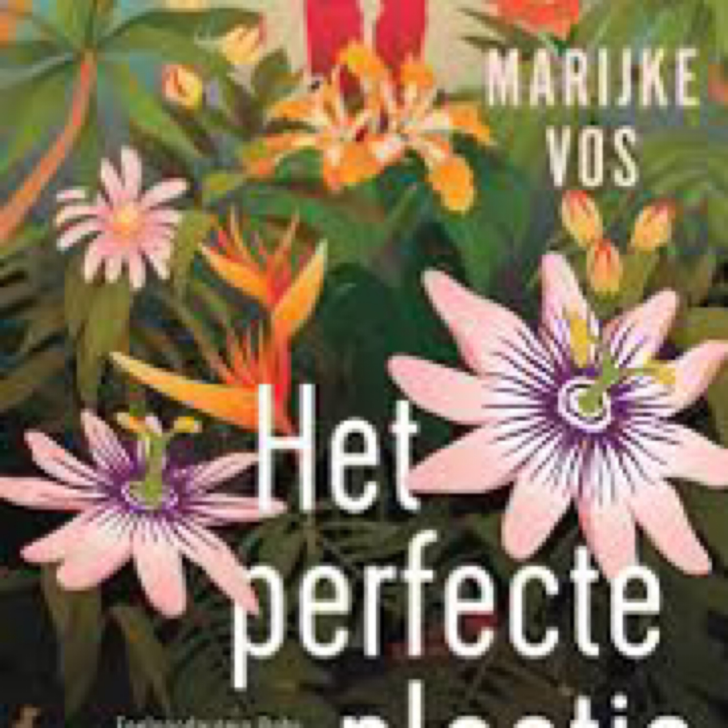 Gelezen | Het perfecte plaatje van Marijke Vos – Gedachtenspinsels